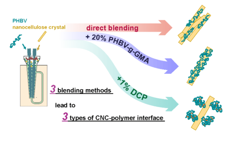 Novel surface grafting methods adopted to evaluate properties of CNC ...
